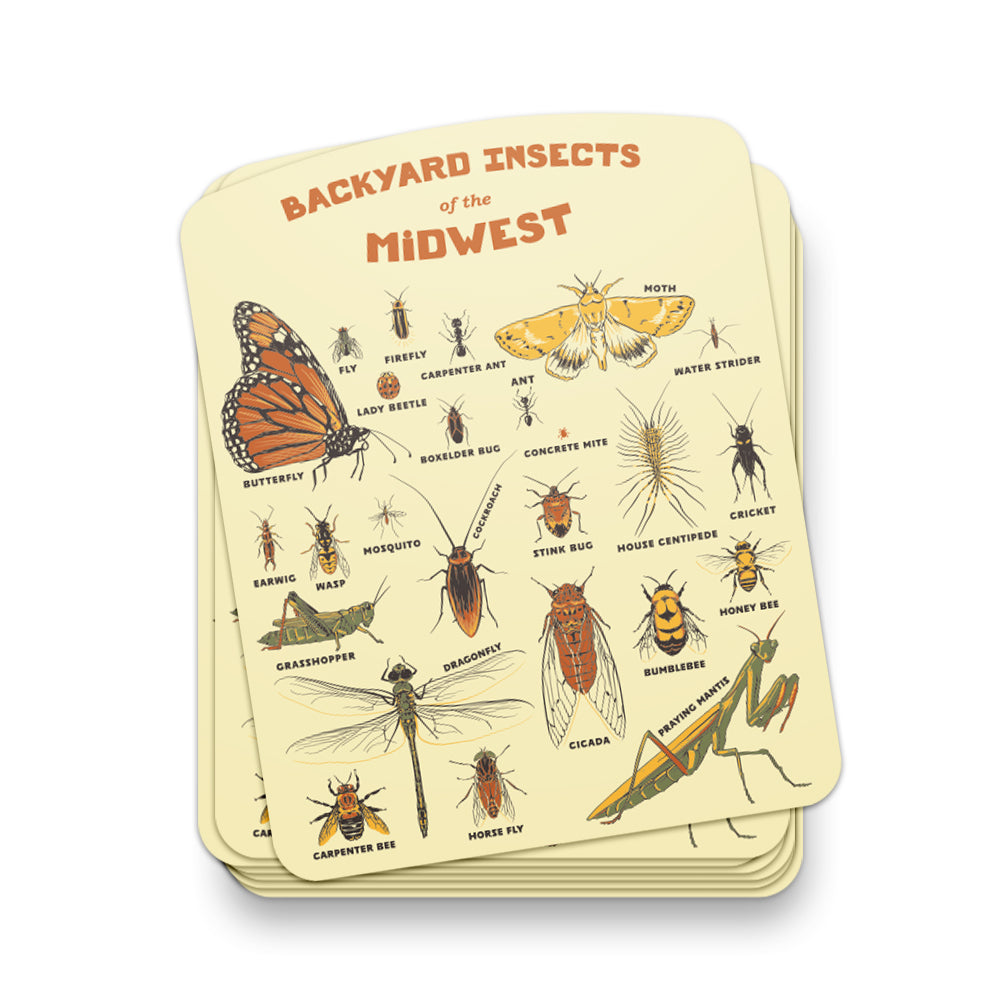 Backyard Insects of the Midwest Sticker – United State of Indiana